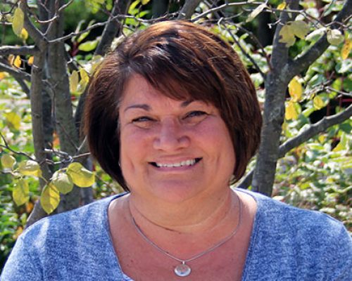 Directory of Employees - DCBDD